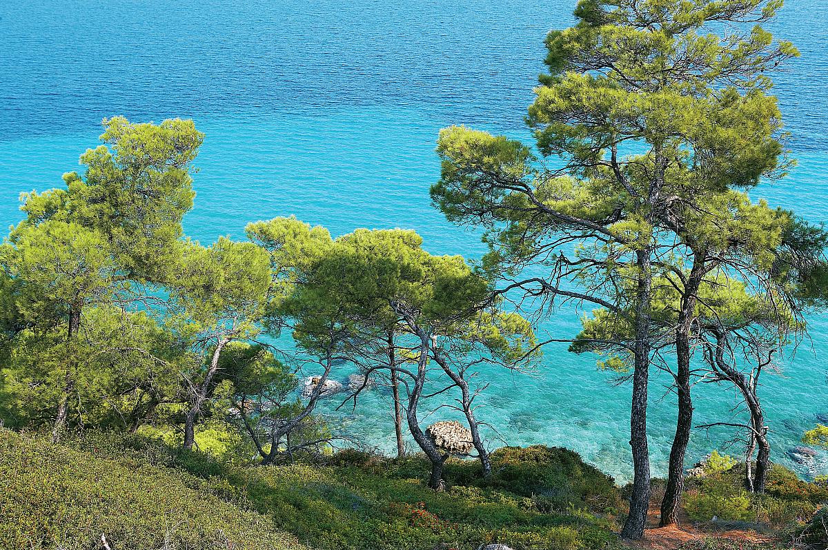 Chaniotis - Dovolenka 2022 - CK FISCHER